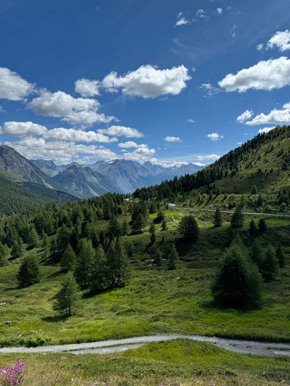Bormio Cancano Foscagno Bormio | 61.9 km Cycling Route on Strava
