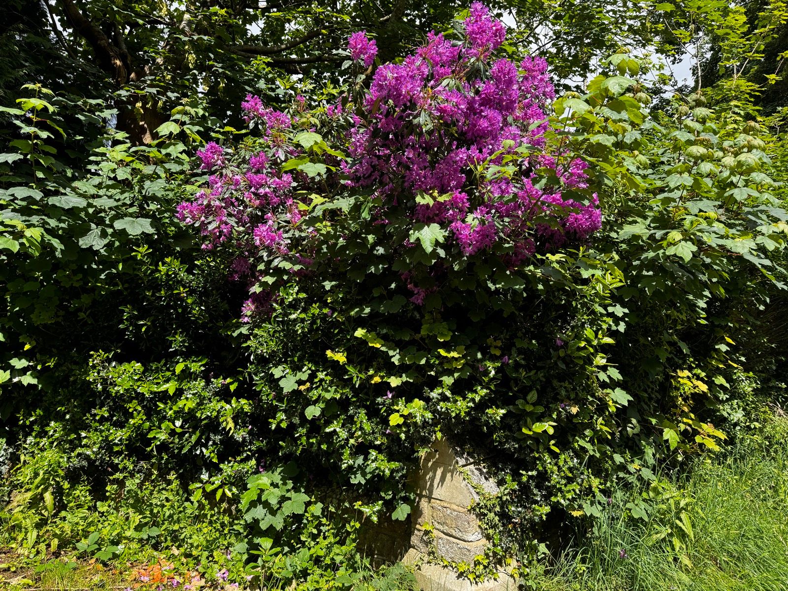 Alan Rolfe | Strava Cyclist Profile