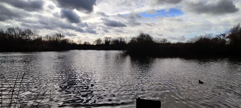 16km | 16.0 km Running Route on Strava