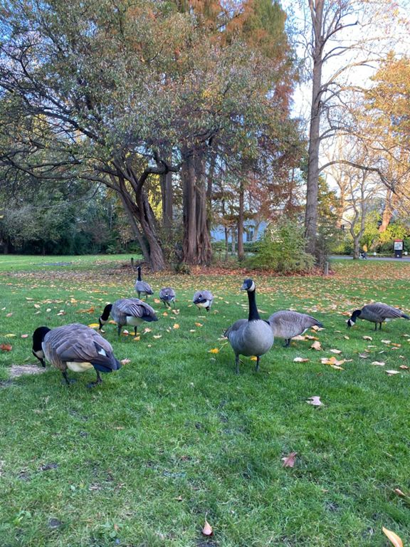 12 to the west | 12.1 mi Running Route on Strava