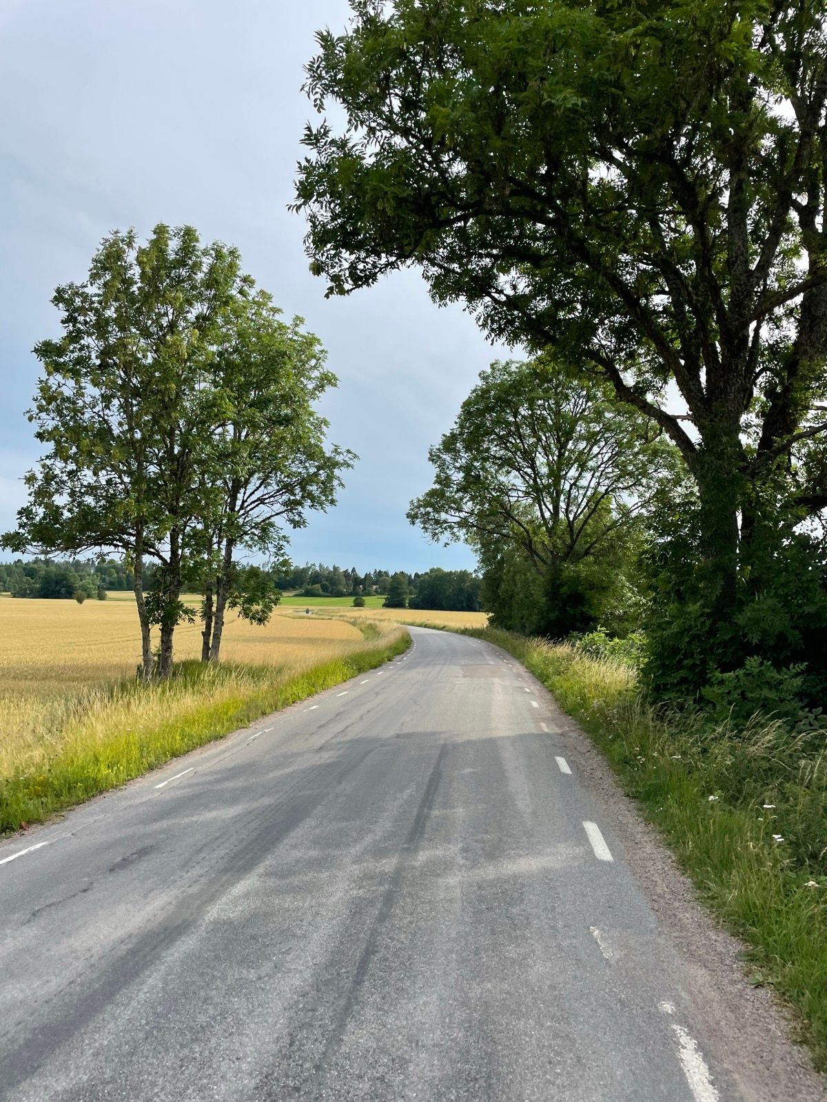 andreas lind | Strava Cyclist Profile