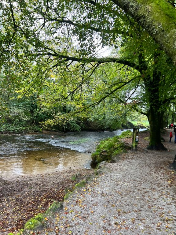 Bodmin Moor | 84.0 km Cycling Route on Strava