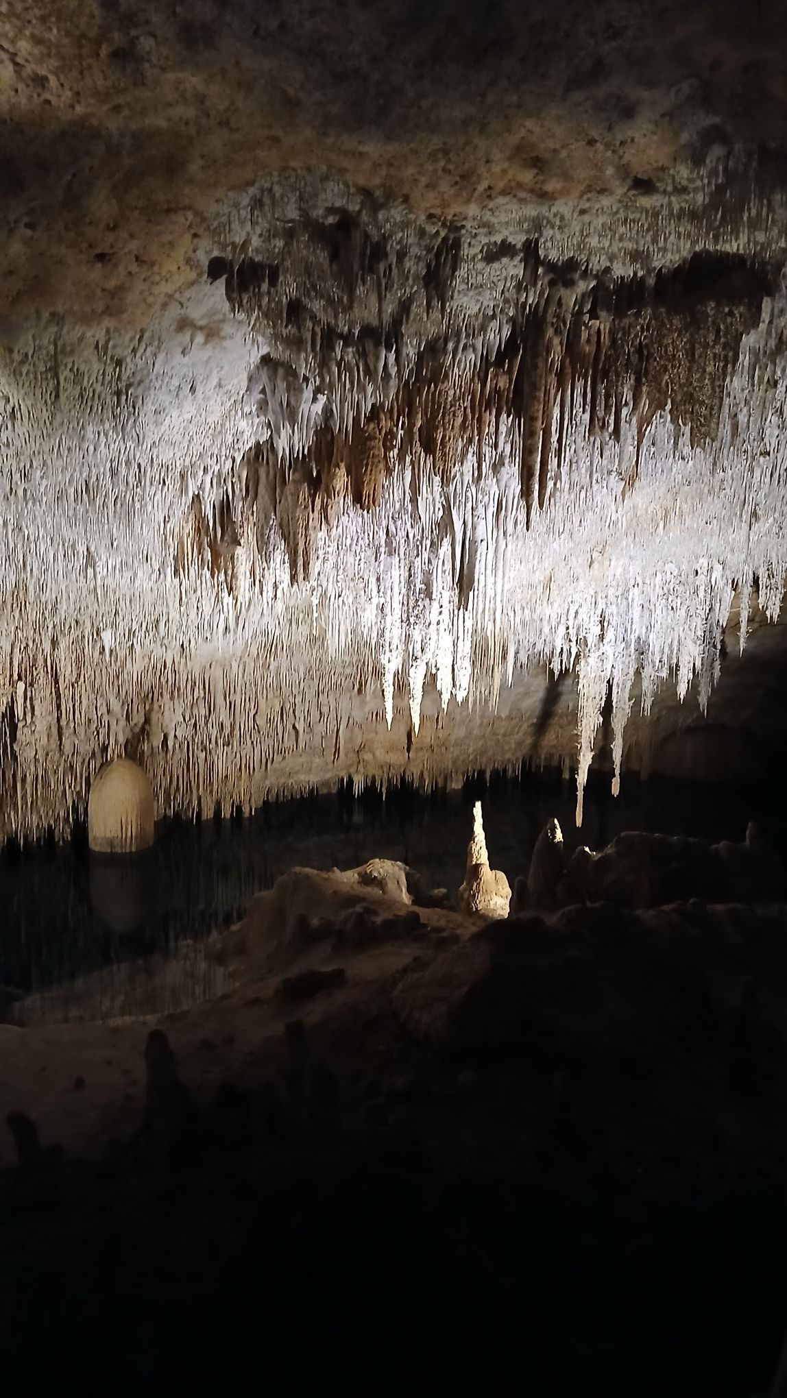 Èric Sans | Strava Runner Profile