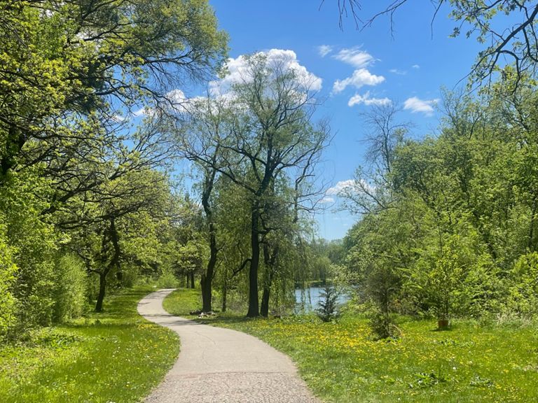 Theodore Wirth Park | 13.6 mi Mountain Biking Trail on Strava