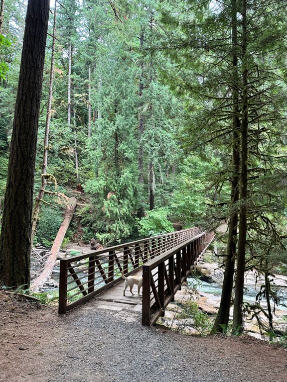 Grains of Wrath 5K Fun Run Route | 3.1 mi Running Route on Strava