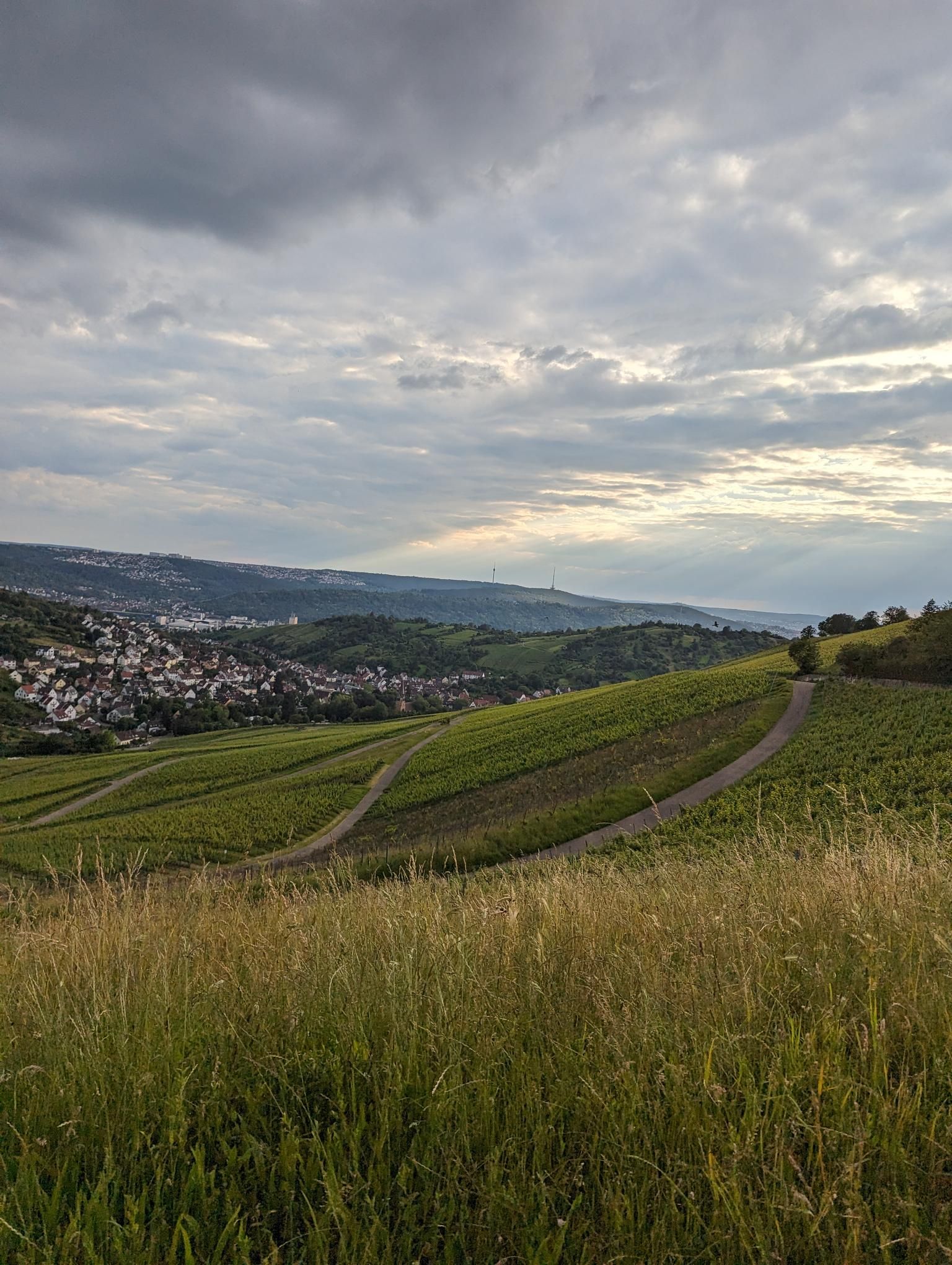 Chris S. | Strava Cyclist Profile