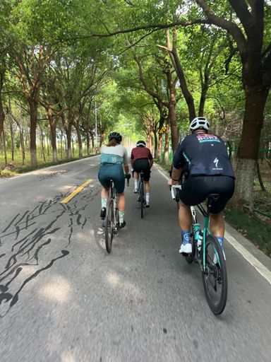 Morning Ride | Strava