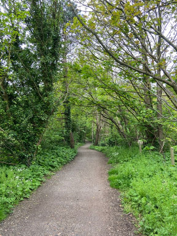 South Downs LInk - Giant Store | 31.4 mi Cycling Route on Strava