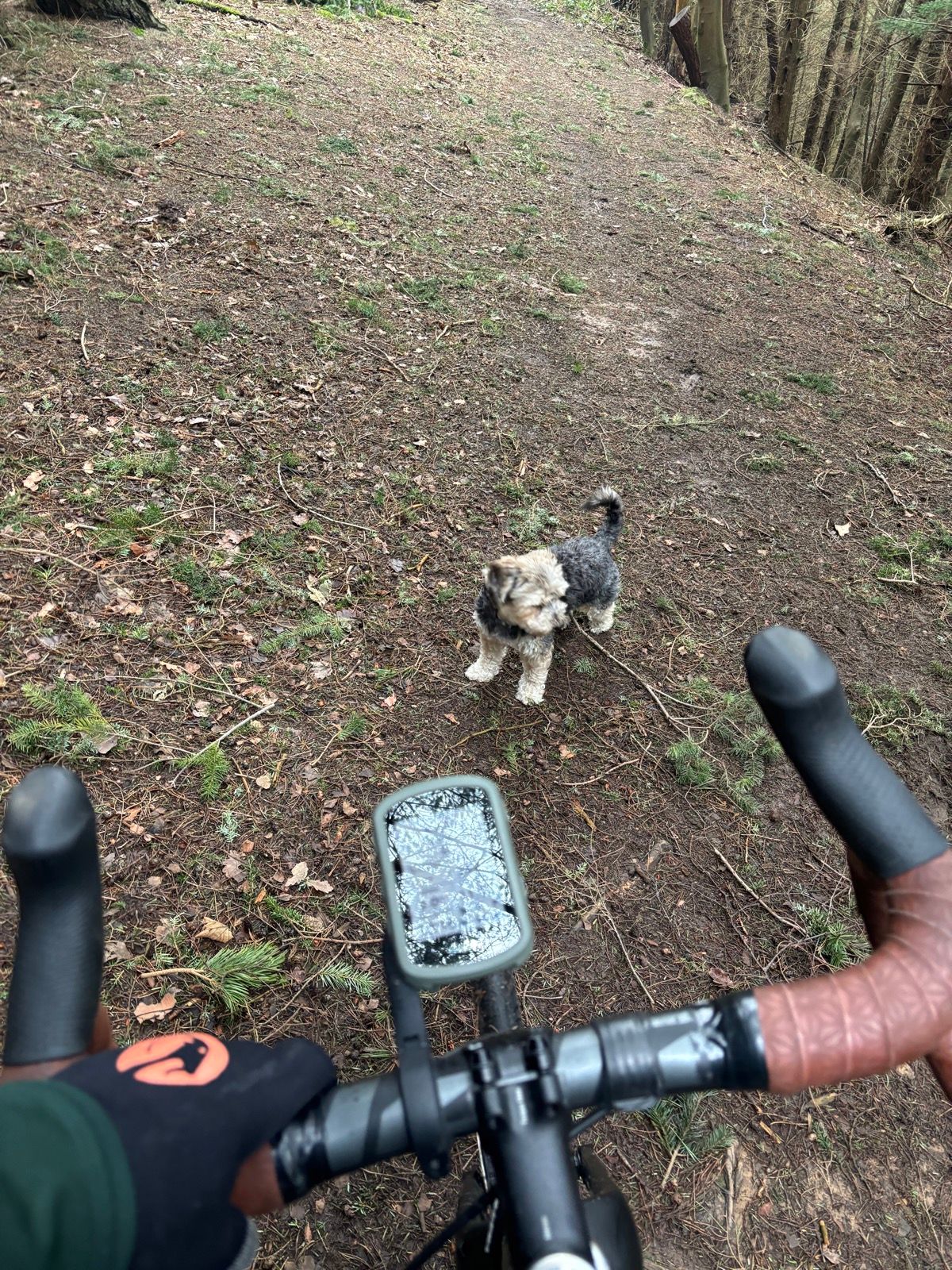 Jonathan Gorman 🇪🇺 | Strava Cyclist Profile