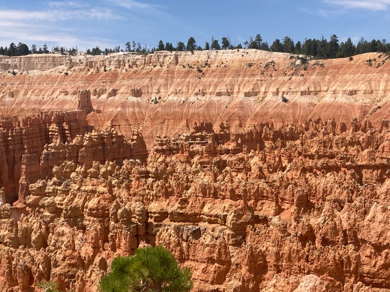 Joshua McNamara | Strava Runner Profile