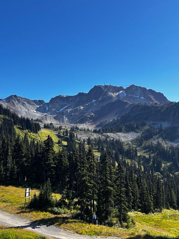 Blue Velvet | 3.2 mi Mountain Biking Trail on Strava