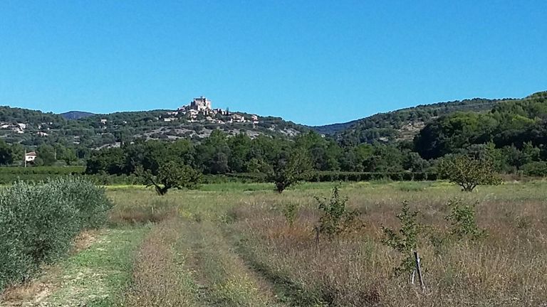 Bedoin - Carpentras - Vauqueras-Bedoin | 54.3 km Cycling Route on Strava