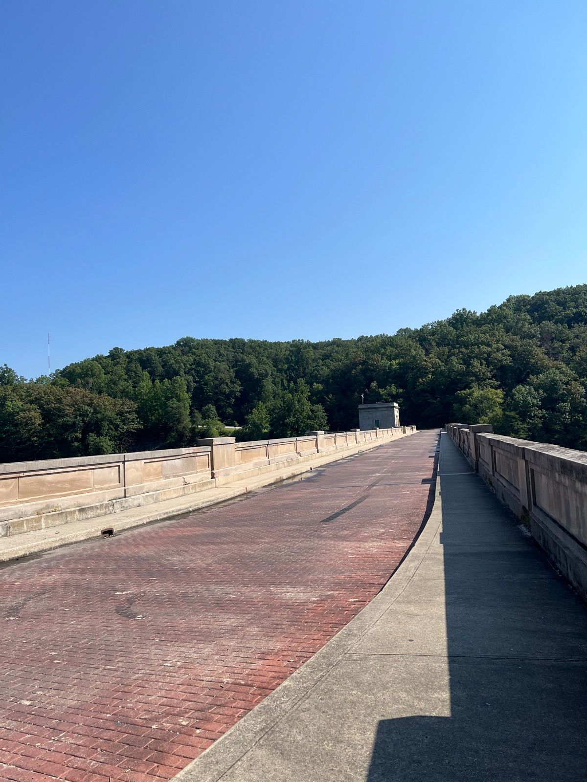 Sarah Hutch | Strava Runner Profile