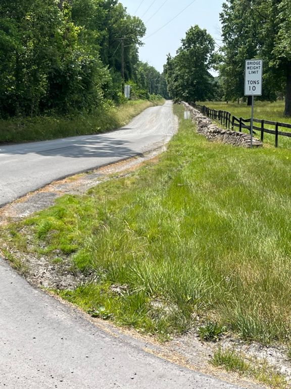 Blue Ridge Mountain Road | 54.5 mi Cycling Route on Strava