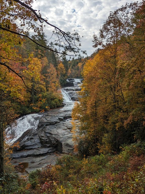 Connestee-Dupont-Williamson Loop | 35.6 mi Cycling Route on Strava