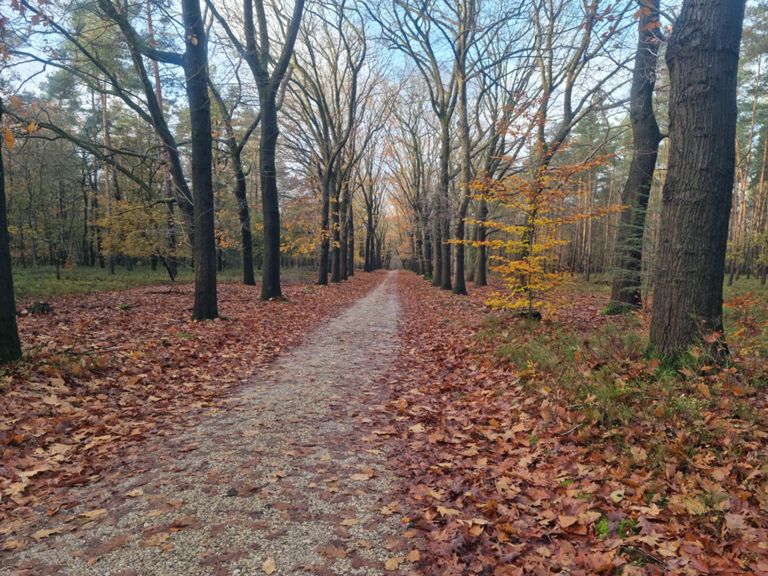 Veluwe onverhard ☀️ | 114.5 km Cycling Route on Strava