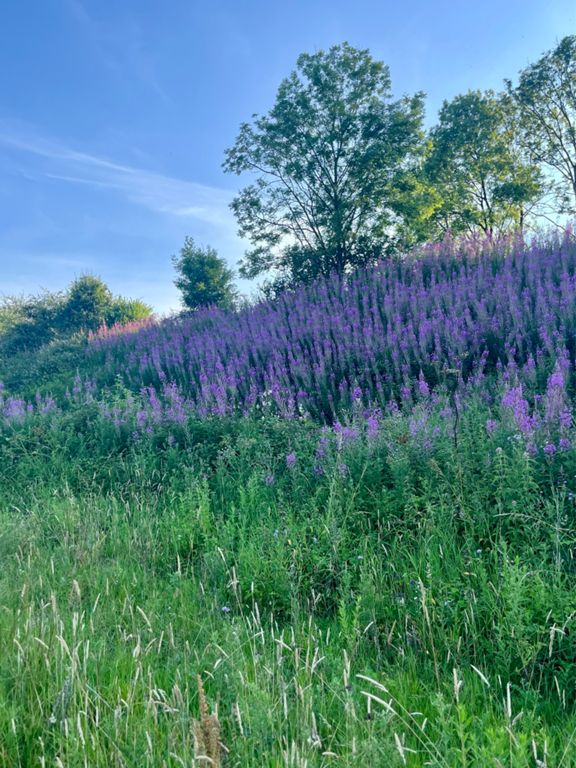 Frome to Bristol via Mells | 36.2 mi Cycling Route on Strava