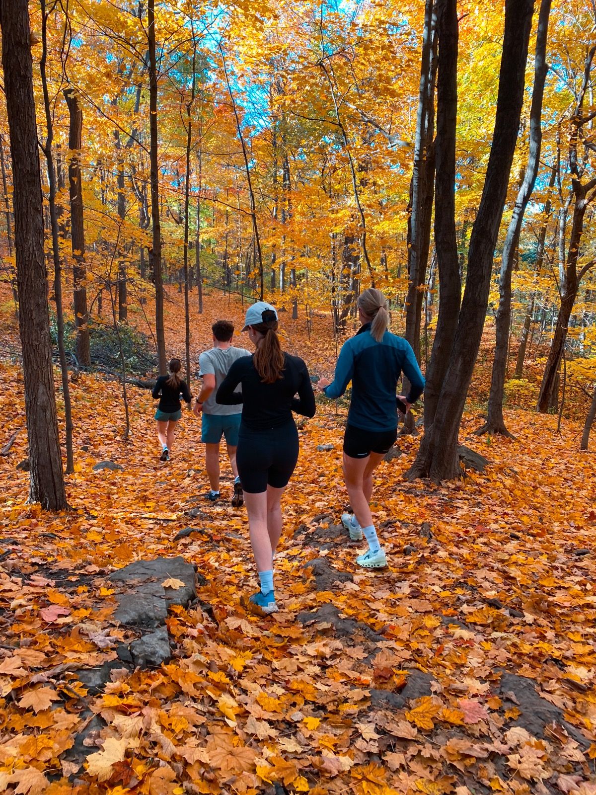 Sylvain Thibault | Strava Runner Profile