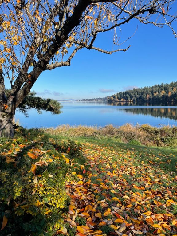 South lake Washington loop | 23.6 mi Cycling Route on Strava