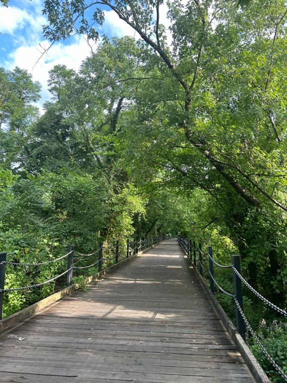 Arlington Loop | 23.3 km Running Route on Strava