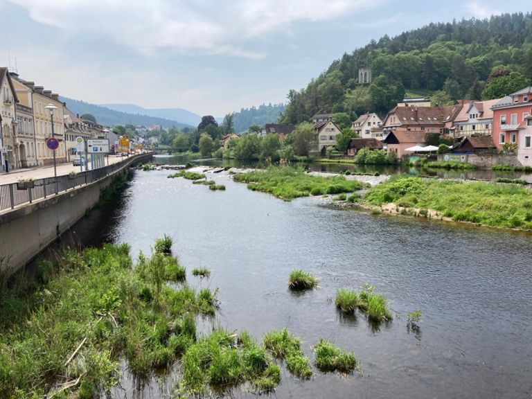 Barden Barden test | 36.3 km Cycling Route on Strava