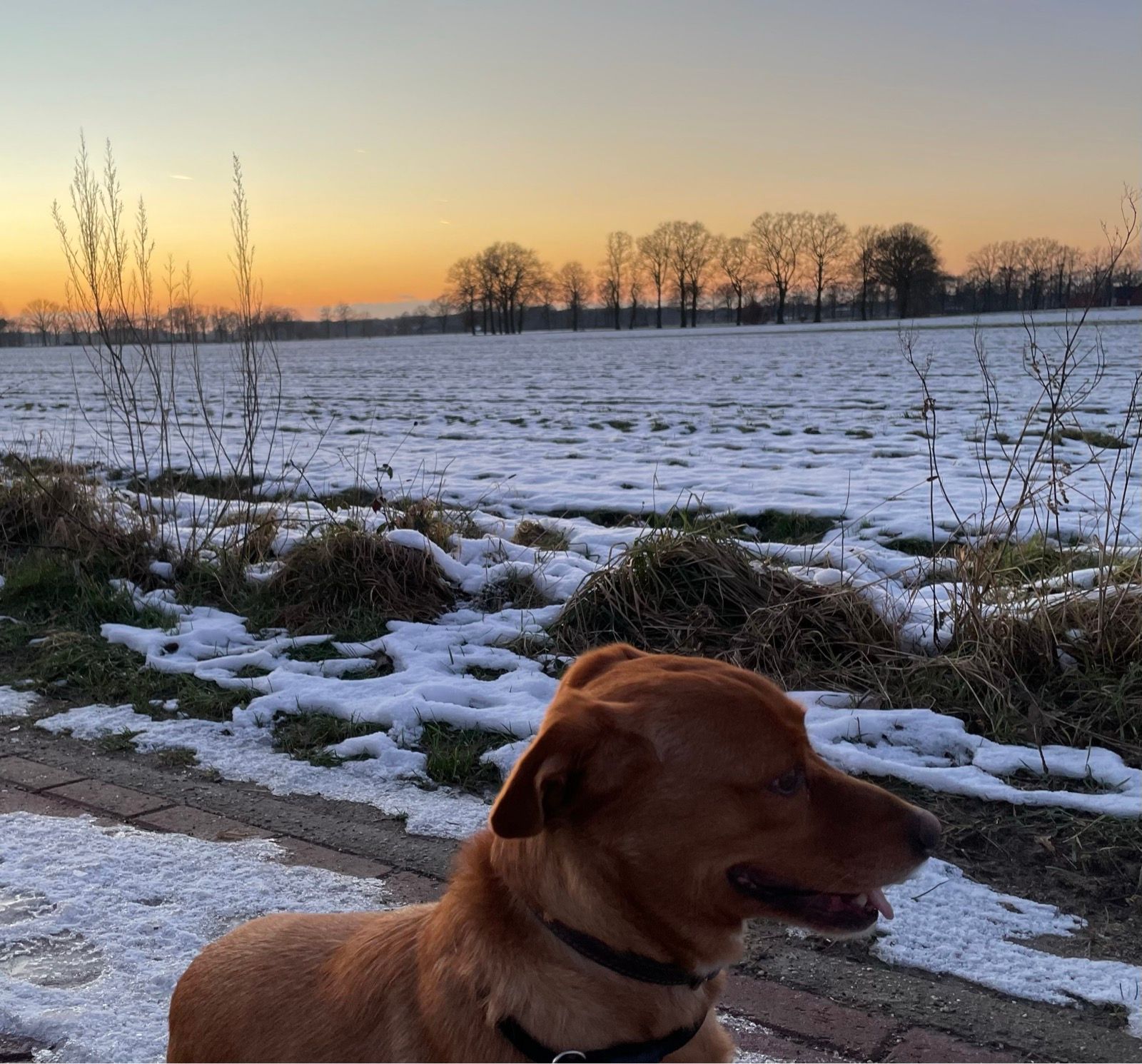 Ingrid Peeters | Strava Cyclist Profile