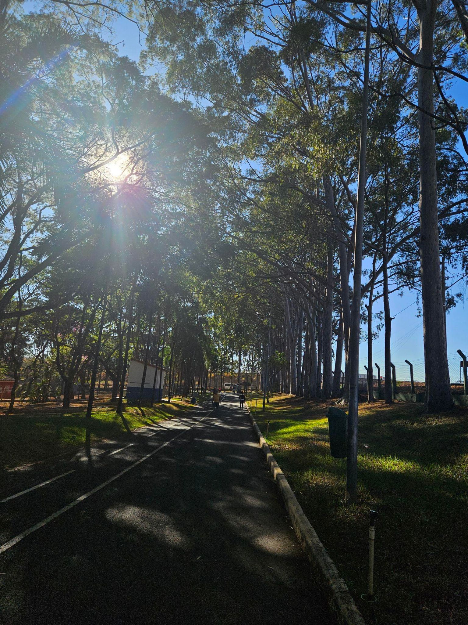 Débora Costa | Strava Runner Profile