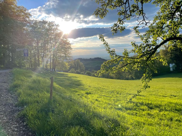 Hilly Hundred | 99.9 km Cycling Route on Strava