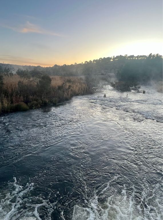 Point Hut/Tharwa Loop | 20.6 km Cycling Route on Strava