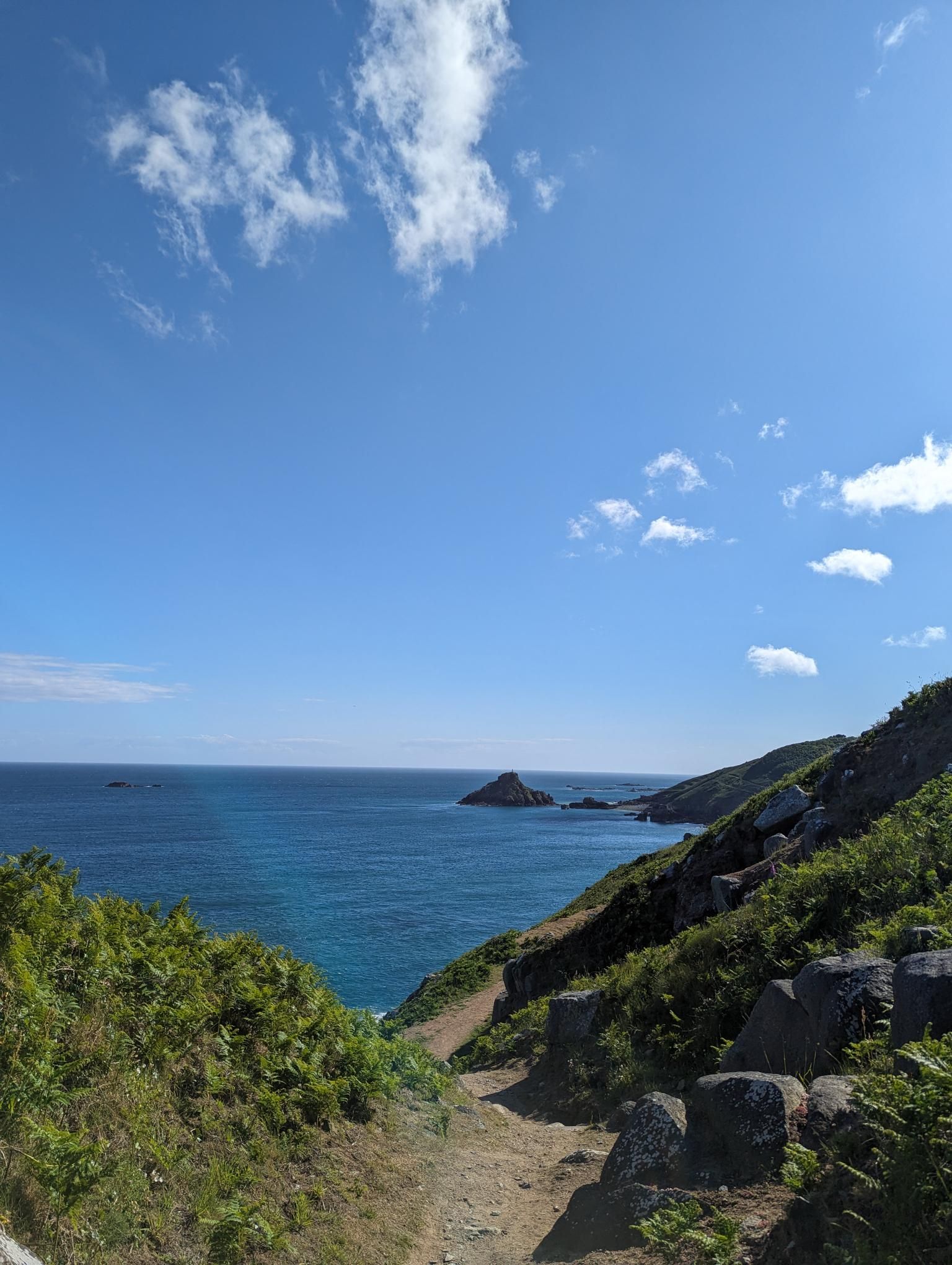 Tom Forgan | Strava 跑者的個人檔案