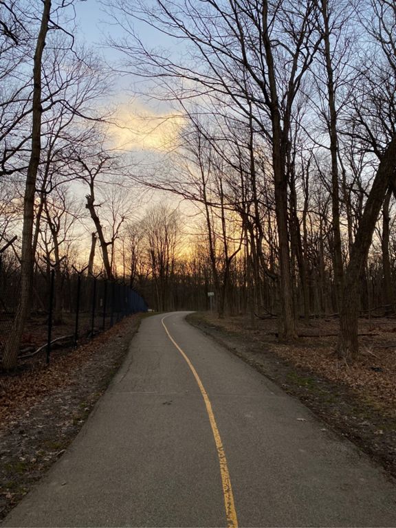 Busse Forest Trails Red Paved-North Central Avenue-Franklin Avenue | 52 ...