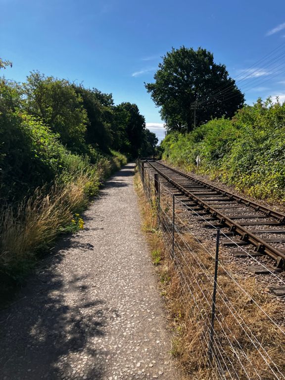 BOBVW | 44.9 km Running Route on Strava