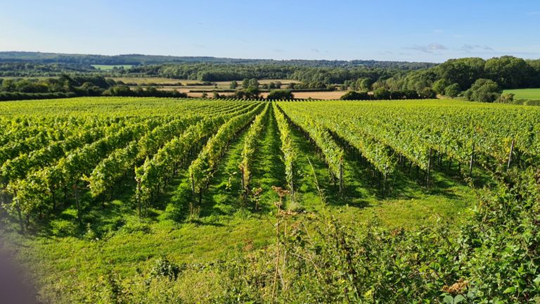 Velo Barn | 41.5 mi Cycling Route on Strava