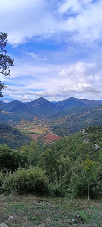 Ferran | 14.8 km Running Route on Strava