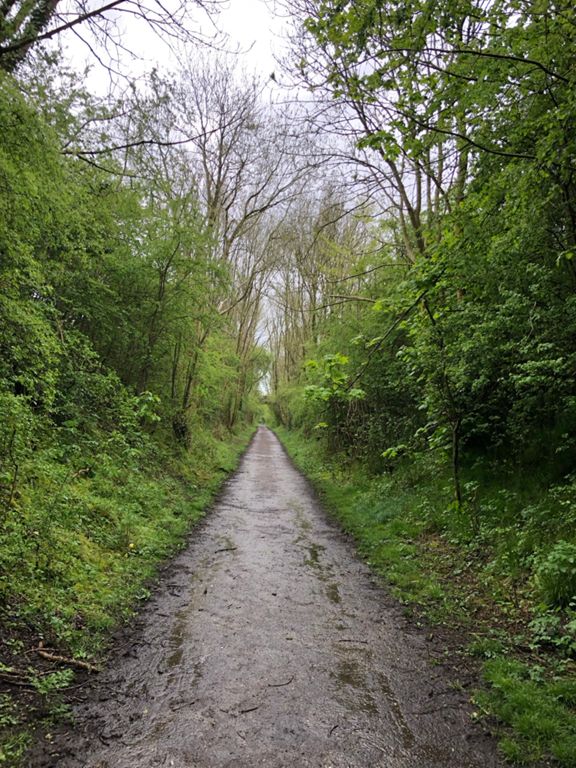 Sutton, Teversal, Rowthorne, Brierley | 13.4 mi Walking Route on Strava