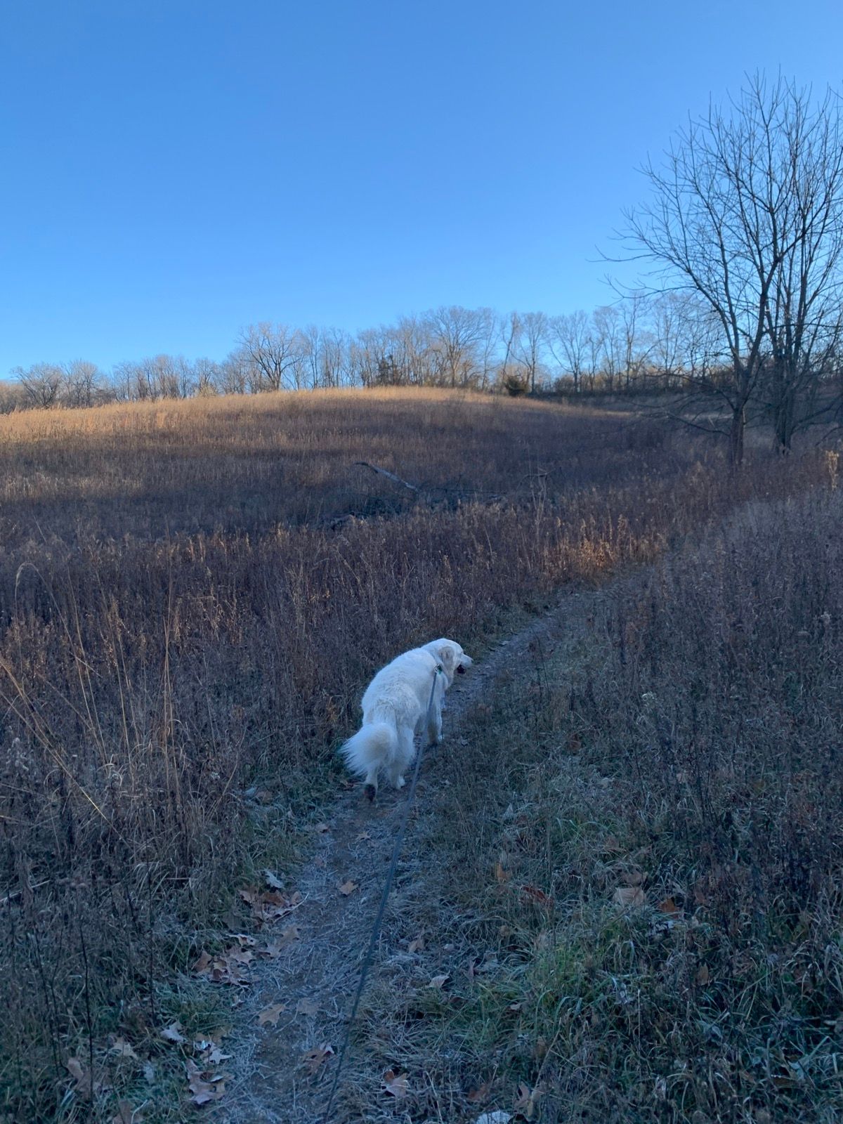 Andrea Parrott | Strava Cyclist Profile