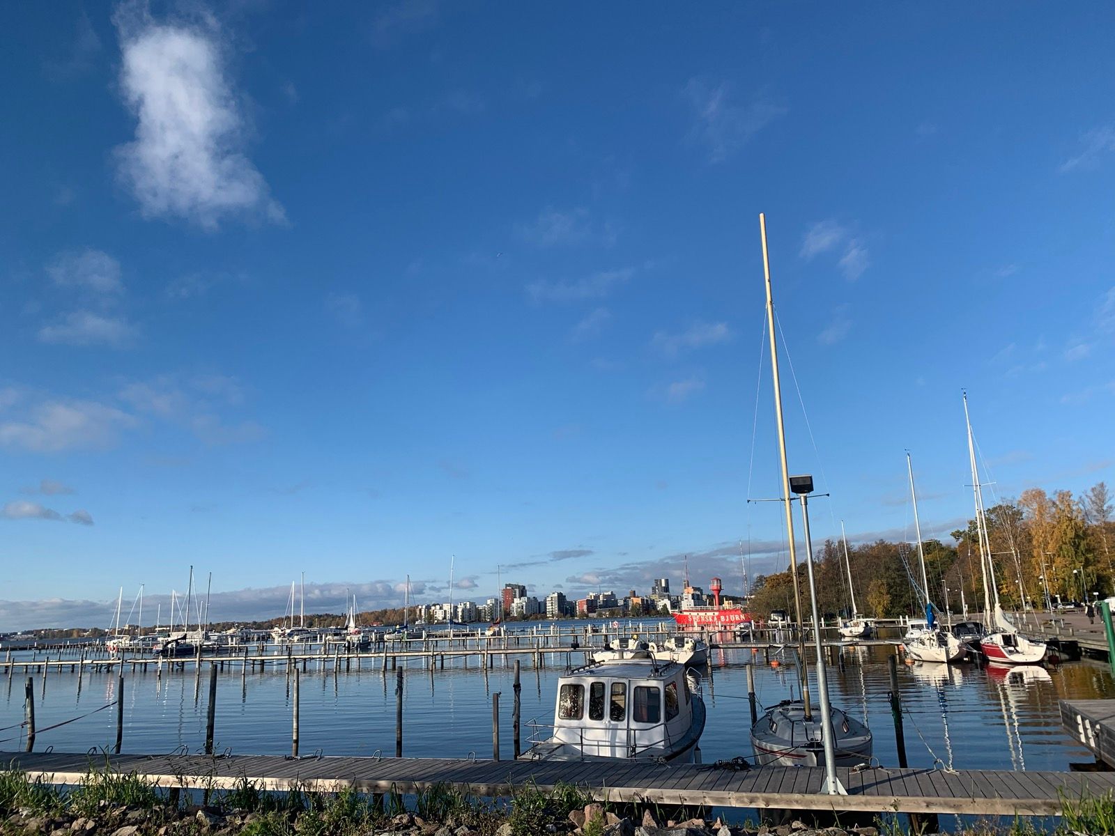 Jonas Hellsten | Strava Runner Profile