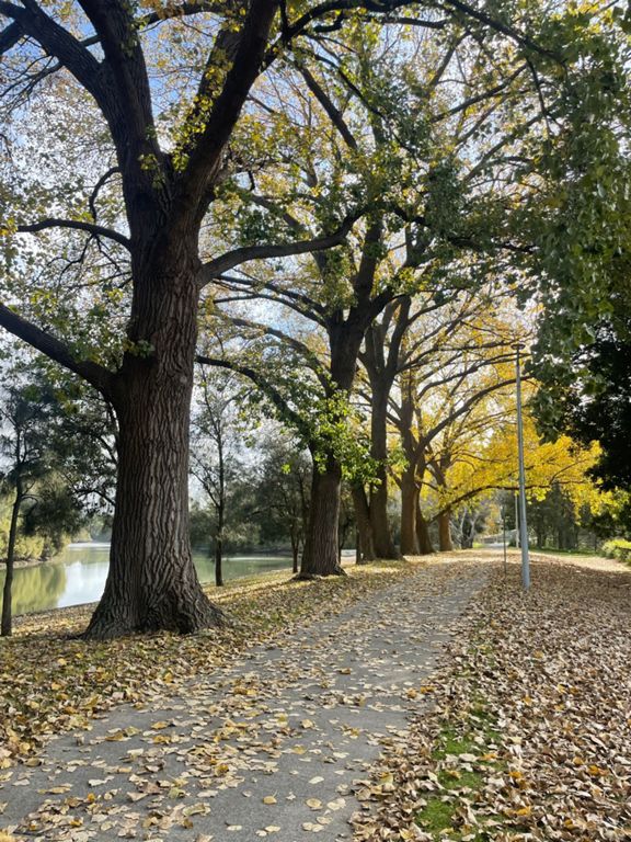 Back to Bexley | 15.8 km Running Route on Strava