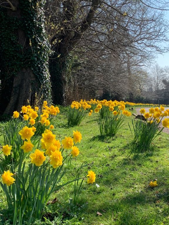 Lount - Tramway Trail - Calke Abbey | 6.5 mi Cycling Route on Strava