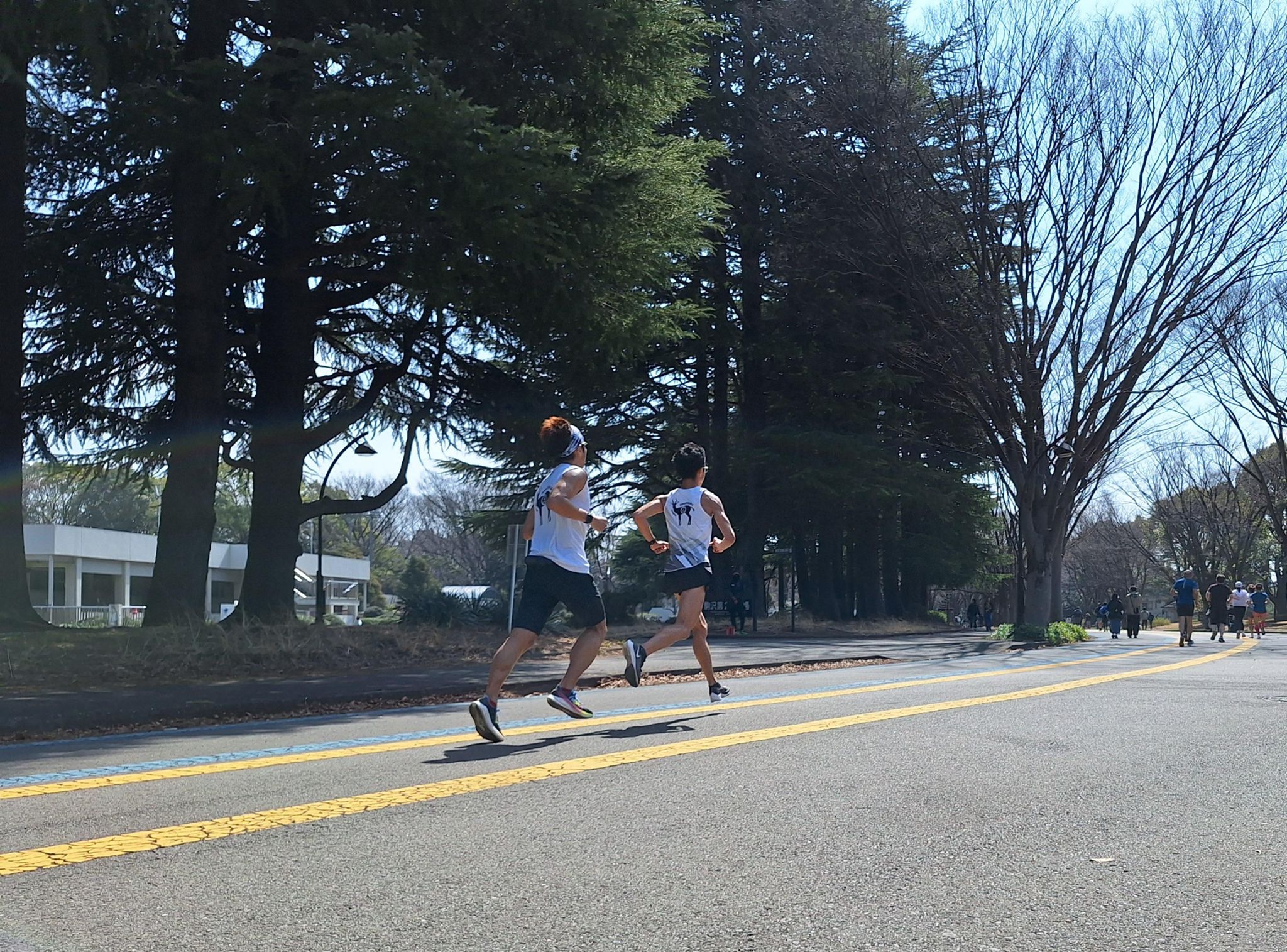 6.4 km Run Activity on March 17, 2024 by 泉 青 on Strava