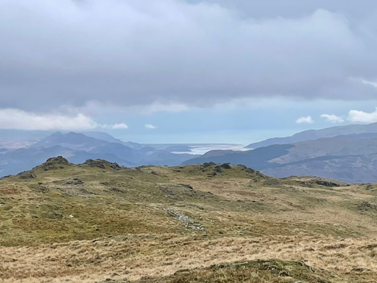 rhobell fawr | 7.0 mi Running Route on Strava