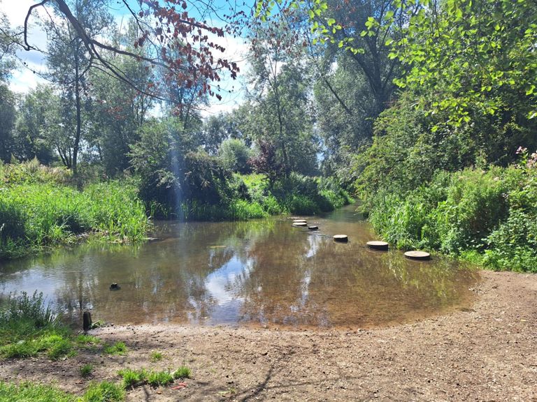 MTB 24 West Wet Loop | 24.7 mi Mountain Biking Trail on Strava