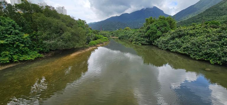 TransLantau 100 Recce #3 | 22.7 km Running Route on Strava