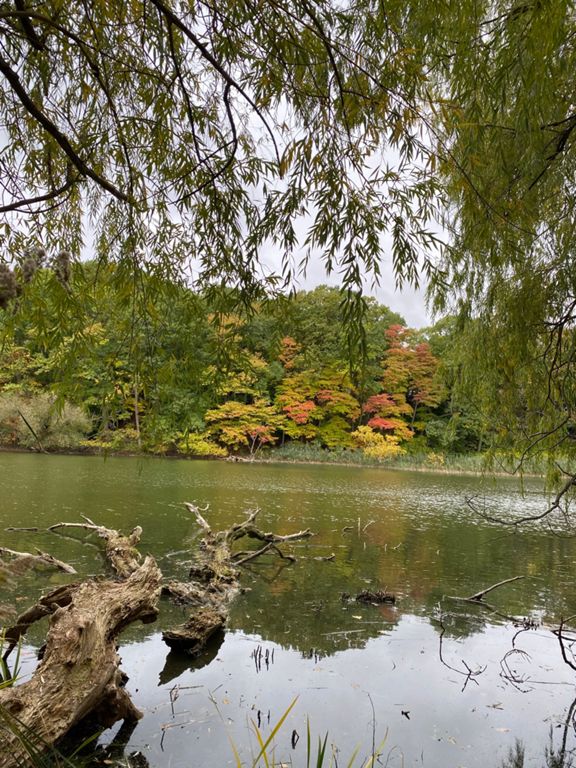 BT LR - High Park Loop (MT) | 25.5 km Running Route on Strava