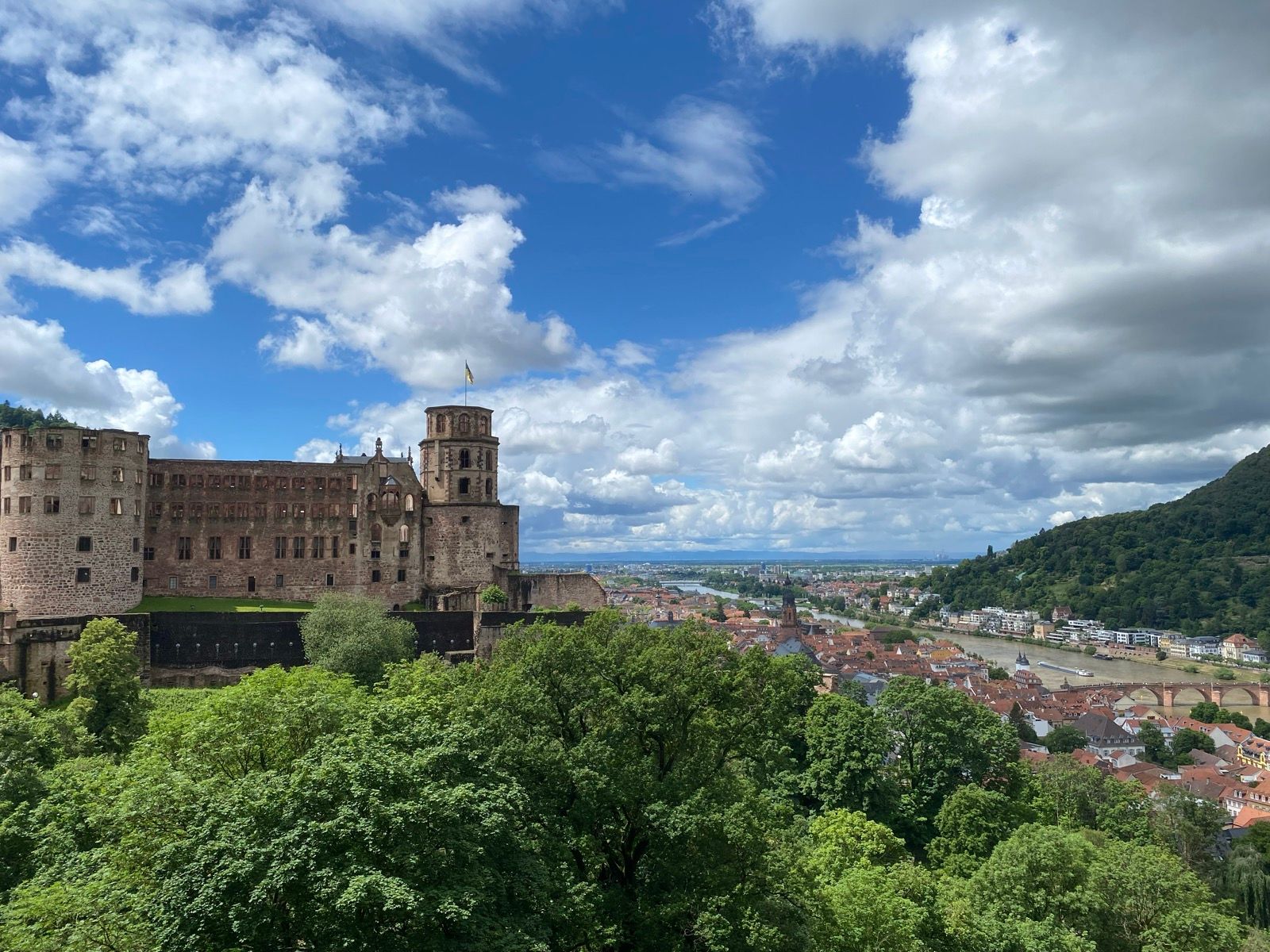 Felix Wittkopf | Strava Cyclist Profile