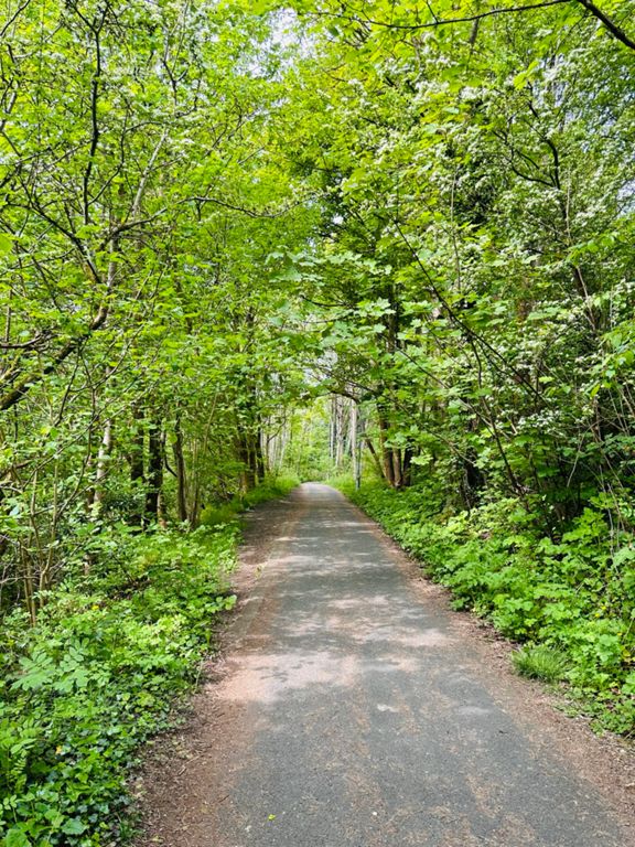 Route 55 | 33.3 km Cycling Route on Strava