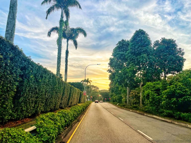 Windsor/MacRitchie to the Oval via Upper Pierce | 18.1 km Running Route ...