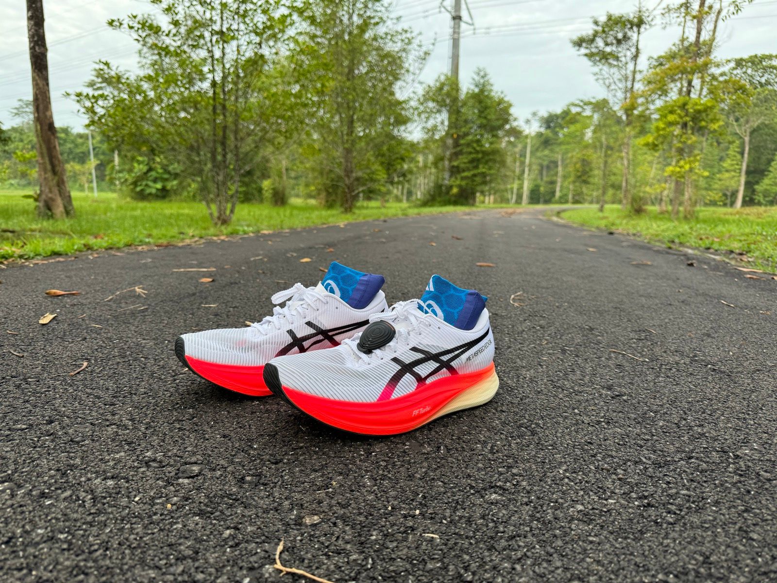 6.3 km Run Activity on February 4, 2024 by Harris D on Strava