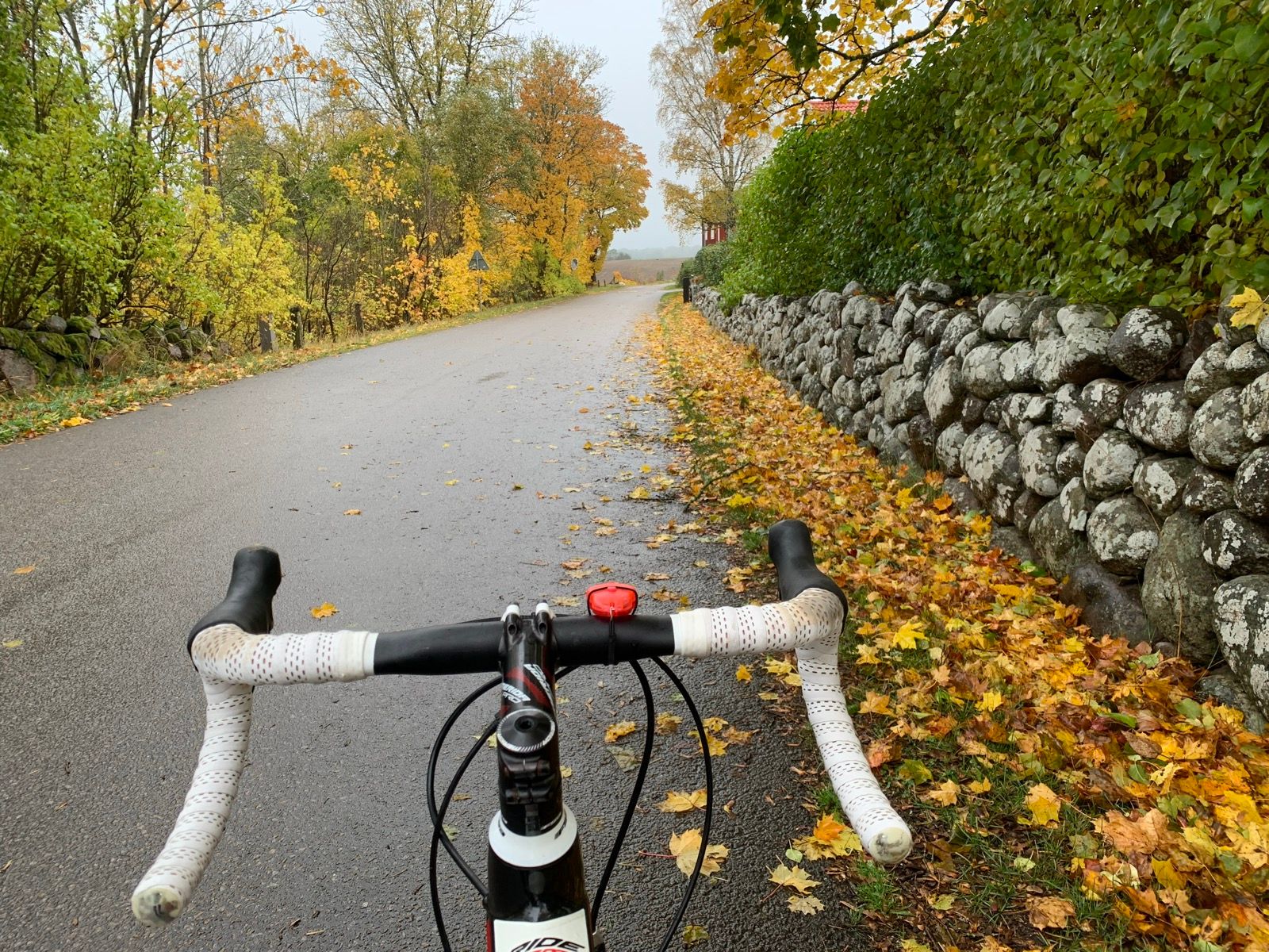 Jonas Hellsten | Strava Runner Profile