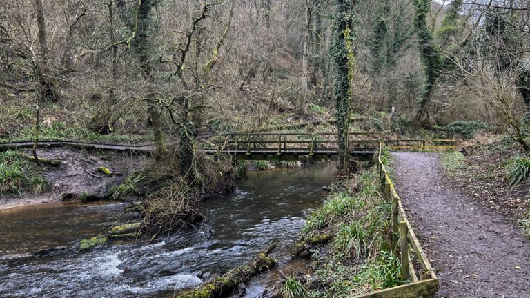 Scarborough Walking Weekend - Woodland Loop | 35.6 km Walking Route on ...